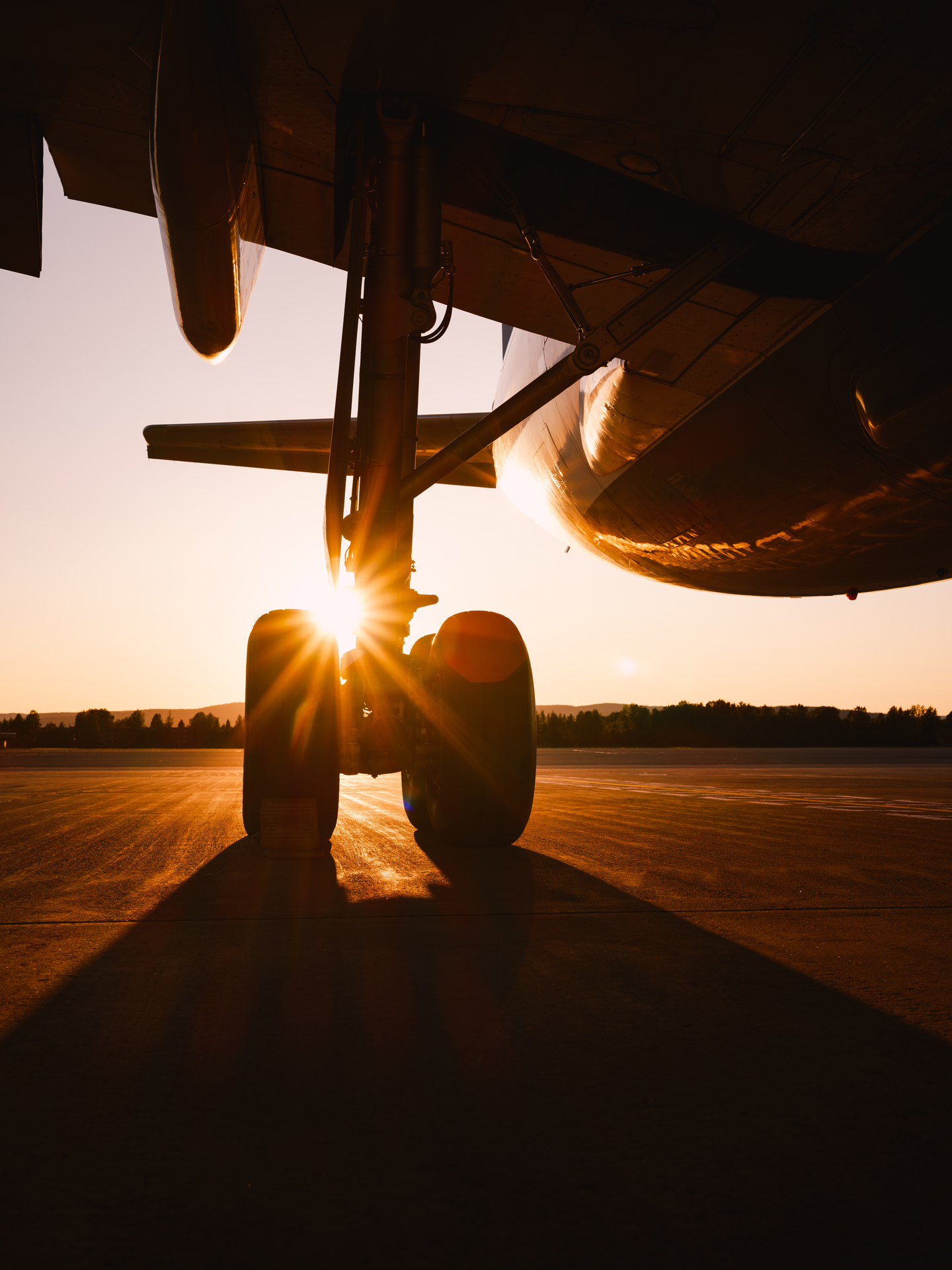 Explore investor content at Avinor